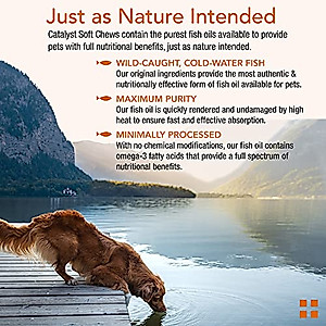 Animal Pharmaceuticals Catalyst+ Omega 3 Fish Oil for Dogs & Cats - Allergy & Shedding Supplement - Dog Dry Skin and Coat Support - Low-Allergen Cheese Flavor Soft Chews - 60 ct