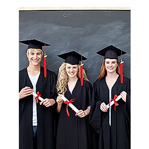 Fahacop 25 Pack 2023 Graduation Tassels Graduation Cap Tassel Charm Academic Graduation Tassels with Gold Date Charm for 2023 Year Graduation Party Ceremony (Red)