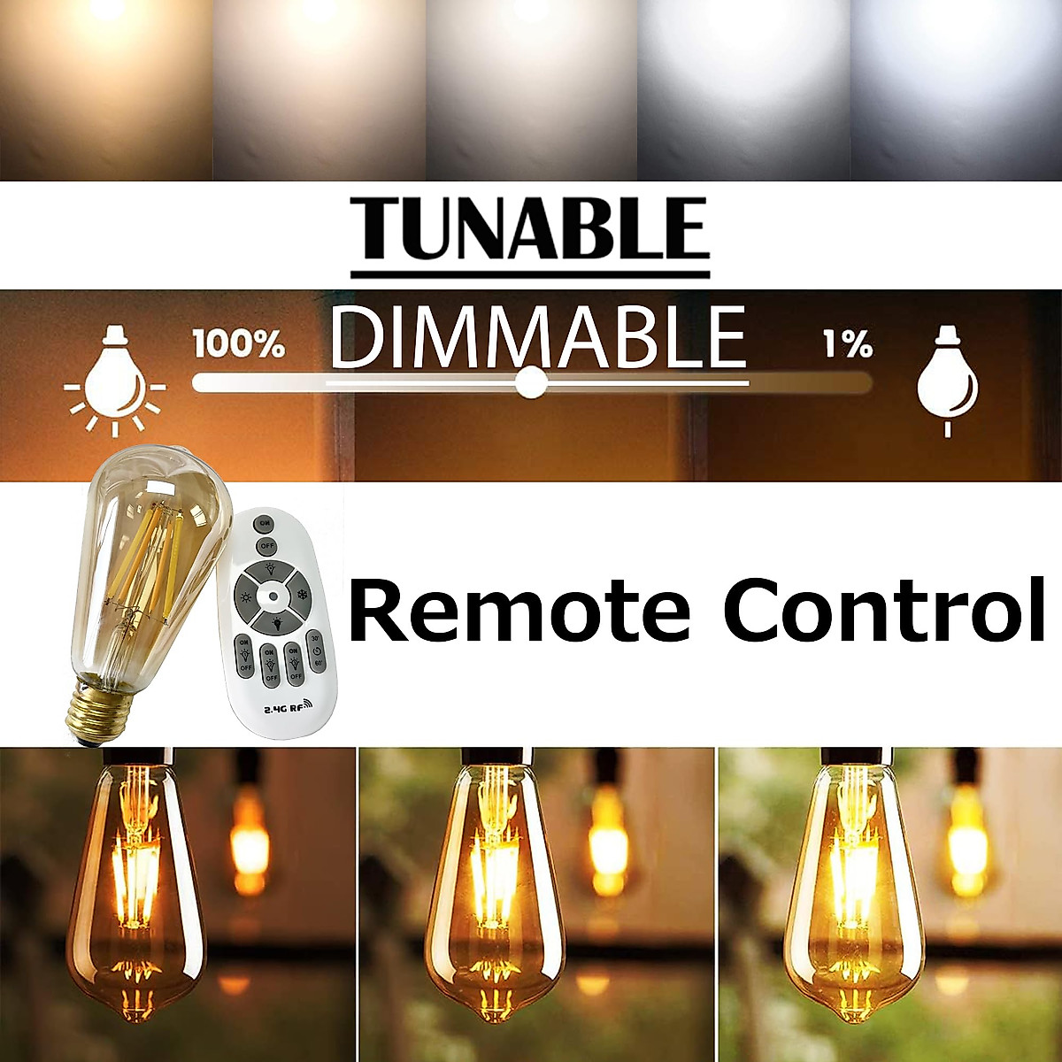 SKIVTGLAMP Industrial Wall Sconce Plug-in Cord with Remote Control, No Drilling Wall Mounted Dimmable LED Edison Bulbs Farmhouse Wall Hanging Upward for Home Decor Gallery Customizable 2 Lights