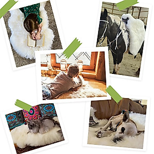 AOGELAN Shaggy Fur Area Rug, Genuine New Zealand Sheepskin Rug, Soft Fur Prayer Pup Carpet Mat, Single Pelt 2ft x 3ft (Light Brown, 2x3ft)