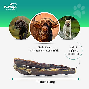 PetYupp Water Buffalo Tail Dog Chew - Pack of 10 - All-Natural, High-Protein, Low-Fat Dog & Easy-to-Digest Dog Treats for Teething Puppies, Aggressive Chewer & Small to Large Size Dogs - Rawhide-Free