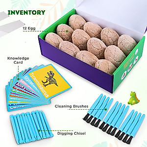 Dig Up Dinosaur Fossil Eggs, Break Open 12 Unique Eggs and Discover 12 Cute Dinosaurs, Easter Digging Toy for 3 4 5 6 7 8 9-12 Year Old Boys Archaeology Science STEM Gift
