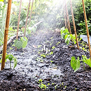 Jollybower 16 in Bamboo Stakes, Plant Stakes, Natural Garden Stakes for Tomato, Bean, Flowers,Trees Potted and Climbing Plant Support-Pack of 30 Bamboo Stick, Diameter of 1/4”