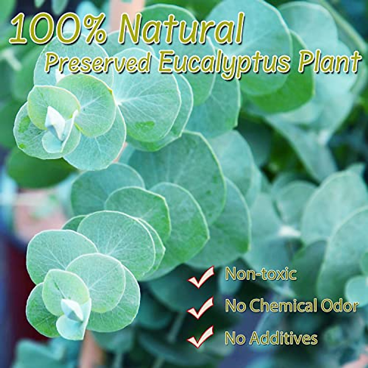 1600+ Small Preserved Real Eucalyptus Leaves, 100% Natural Bulk Eucalyptus, Biodegradable Wedding Leaves Confetti for Anniversaries, Birthday, Graduation, Bridal Showers, Baby Shower Party Decor
