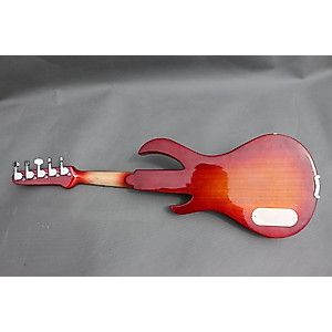 Vetimobato Electric Viola 16 inch Full Size Solid Wood Ebony Accessories with Viola Case & Viola Bow & AUX cable & Headphone (5 String)