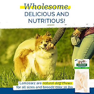 PCI Pet Center Inc Lamzearz - 10 Pack of Premium Lamb Ear Dog Treats