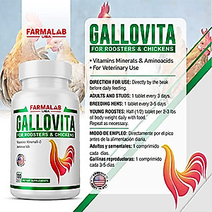 GALLOVITA para Gallos 100Tabs Vitamins Minerals Aminoacids for Rooster Hens Chickens Gamefowl Vitaminas Minerales Aminoacidos