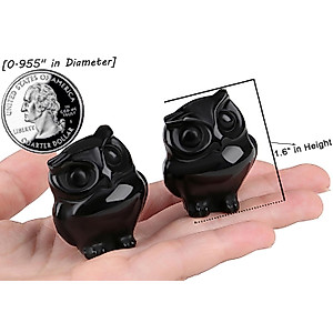 QINJIEJIE Black Obsidian Crystals Owl Figurines Natural Carved Stone Decor Polished Gemstone Statue Home Desk Gem Guardian Sculpture Room House Office Decorations Spiritual Owl Gifts for Women Men