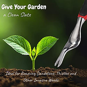 Mr. Pen- Hand Weeder Tool, Weeding Tool for Garden, Hand Weeder, Weeder Tool, Garden Tools for Gardening, Weed Digger, Dandelion Puller, Garden Weeder, Weed Pulling Tool, Weed Puller Tool