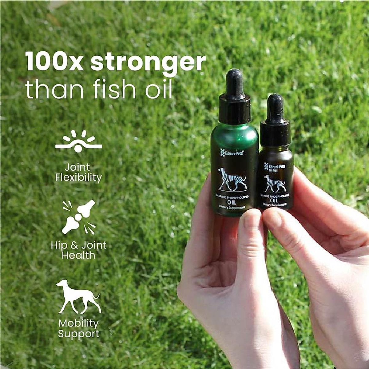 Kōrure Pets Dog Hip and Joint Care, Green Lipped Mussel Oil, for Joint Health, Joint Flexibility, Mobility Support, Made in New Zealand, 0.3 Fl Oz / 1 Fl Oz (9ml/ 0.3 Fl Oz)