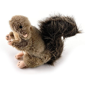 ALL FOR PAWS Squeaky Dog Toys, Animal Plush Dog Toy, Stuffed Dog Toys, Puppy Toys for Teething Small Dogs