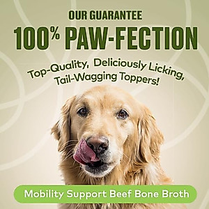 Furvor Mobility Support Beef Bone Broth for Dogs | Hip & Joint Support for Dogs | Glucosamine & Amino Acid Boosted | Human Grade Ingredients | Just add Water | Made in USA, 12 oz