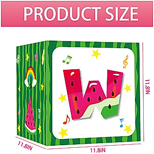 Cartoon Melon 2nd Birthday Balloon Boxes Party Supplies Decorations, 3pcs Watermelon One In A Melon Theme Party Gift Boxes Blocks Decor with TWO Cake Smash Backdrop