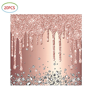 Pink Rose Gold Birthday Party Supplies, 20 Plates and 20 Napkins, Pink Rose Gold Theme Birthday Party Decoration for Girls Women