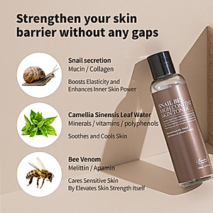 BENTON Snail Bee High Content Skin (Toner) - Snail Secretion Filtrate & Bee Venom - Moisturizing & Soothing Toner for Oily, Acne-Prone Skin - Dermatologically Tested, 5.07 fl. oz.