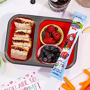 Stonyfield Organic Kids Cherry & Berry Lowfat Yogurt Tubes Variety Pack, 2 oz., 8 Ct - #1 Organic Kids Yogurt, No Artificial Flavors or Sweeteners