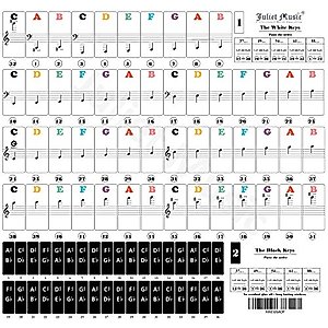 Bastien Piano Basics Primer Level Learning Set by Bastien - Lesson, Theory, Performance, Technique & Artistry Books & Juliet Music Piano Keys 88/61/54/49 Full Set Removable Sticker