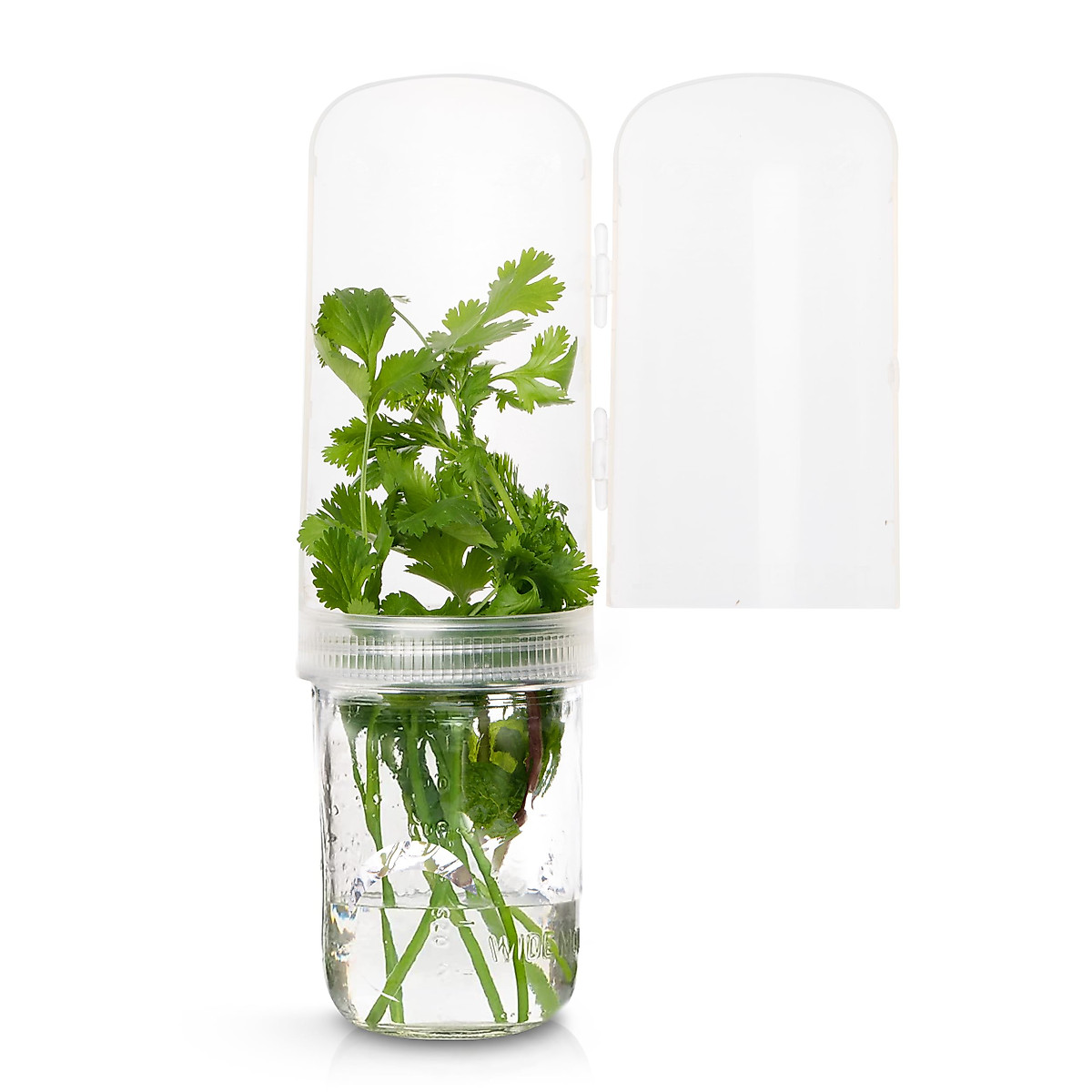 The Herb Angel Mason Jar Herb Lid - Fresh Herb Keeper - Herb Saver Pod for Cilantro, Parsley, Basil, Chives, Mint and More - Herb Storage Container for Refrigerator