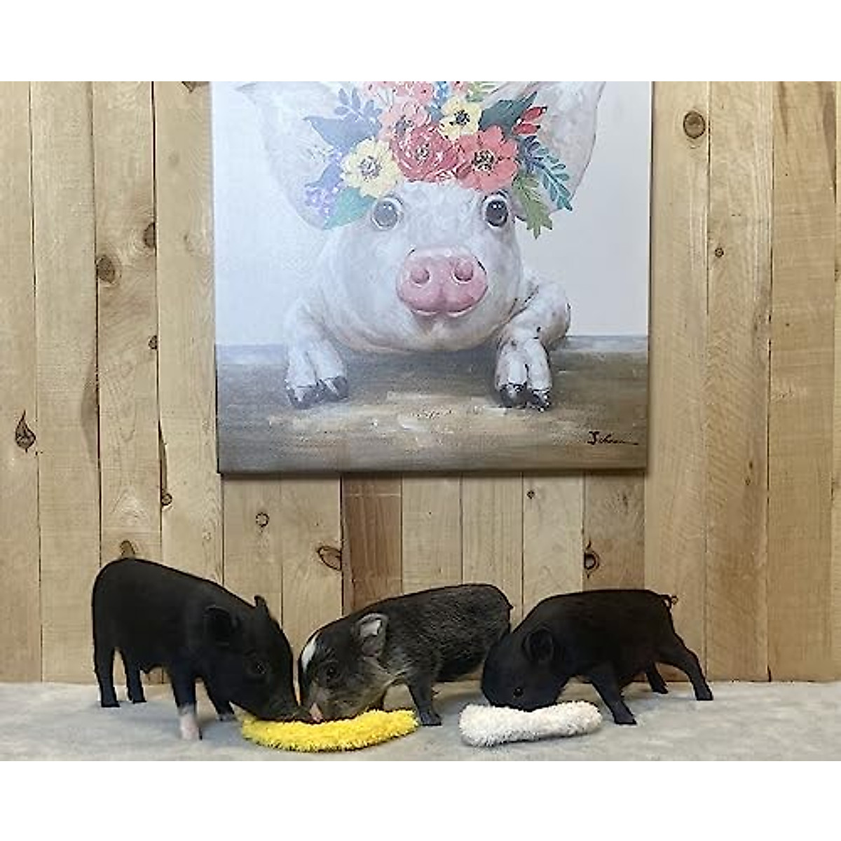 Chicken and Egg Crinkle Squeaker Pack Fun Durable Interactive Fetch Toys for Puppies Dogs Small Amimals