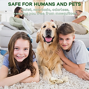 Indoor Plug-in Fly Trap - Flying Insect Trap for Flies, Mosquitoes, Moths, Rodent，Mouse，Mice - Safe & Effective - 3 Device(Black) + 15 Glue Boards