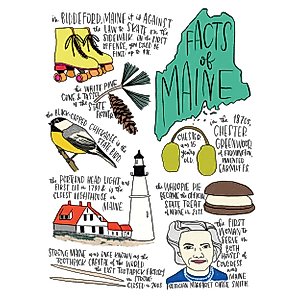 Allport Editions Maine State Facts Kitchen Towel - 100% Cotton Kitchen Dish Towel