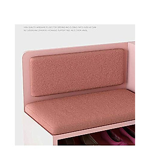 N/A Fashion Shoe Cabinets Minimalist Multi-Function Shoe Changing Stool Porch Partition Hall (Color : Black)