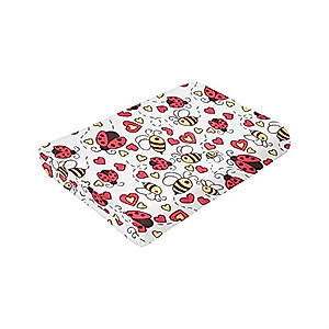Ladybug Blanket Air Conditioning Cute Blanket Soft, Ladybird Throw Blanket Flannel Funny Blanket(50"x40")