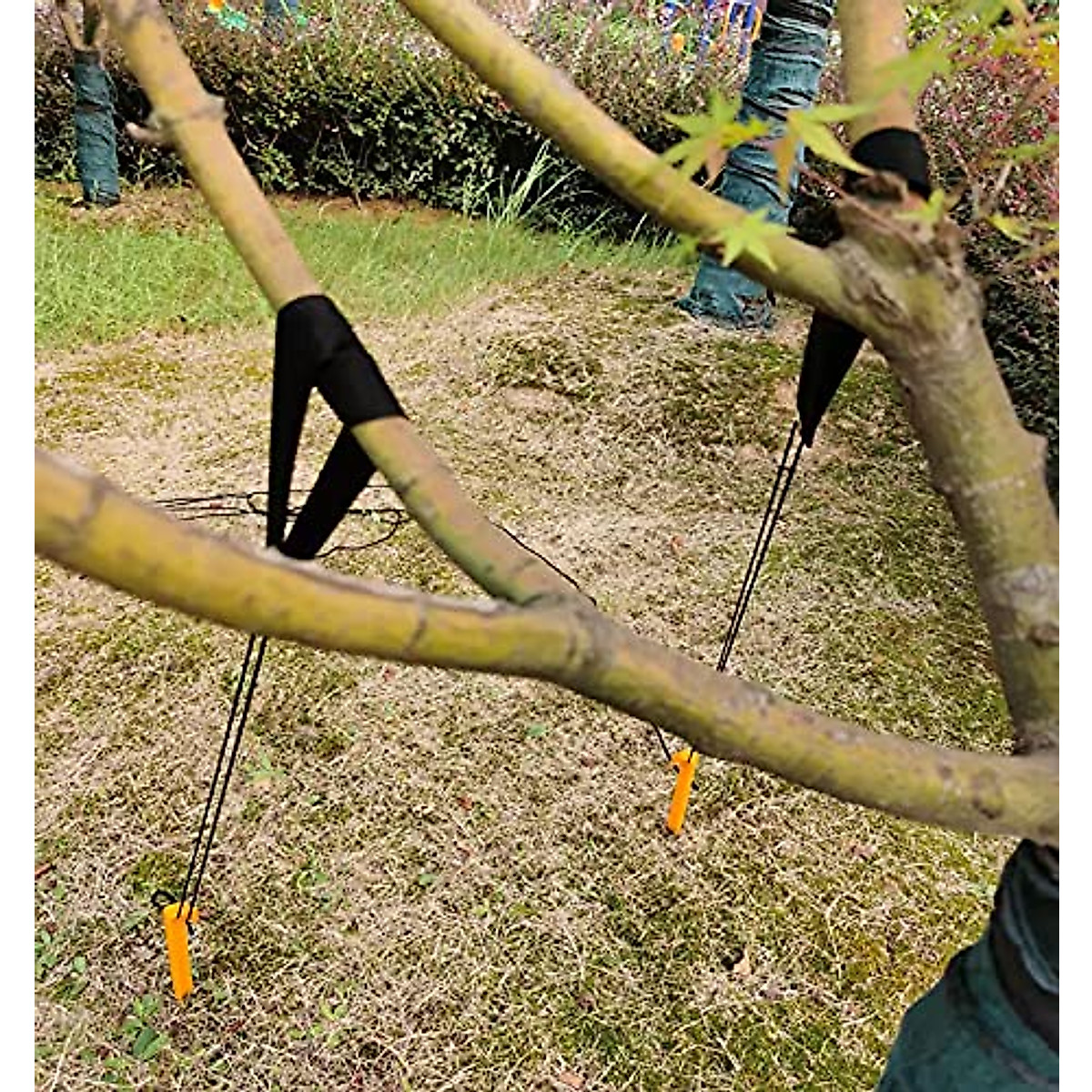 WANZHU Tree Stake Kits - 6pcs 11.4'' yellow Anchoring Stakes + 6 Straps 65 Feet Rope Enough for 2 Finish Trees Sapling Straight Healthy Growth Outdoor Garden Yard Plant Fix