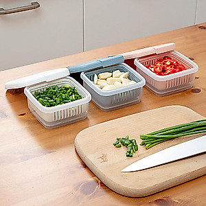 Food Storage Containers with Lids Fridge Berry Storage Container with Lid/Strainer Fresh Produce Saver Keeper for Scallion Ginger Garlic Vegetable Fruit Meat Lettuce