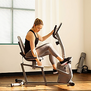 Sunny Health & Fitness Magnetic Recumbent Exercise Bike with Easy Adjustable Seat, Device Holder, RPM and Pulse Rate Monitoring | SF-RB4806, Grey