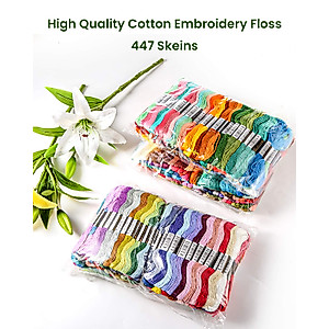 Caydo 447 Color Embroidery Floss, Cross Stitch Threads with 20 Pieces Floss Bobbins for Friendship Bracelets Arts DIY Crafts