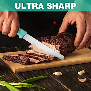 HAUSHOF Steak Knives Set of 4, Serrated Steak Knives, Premium Stainless Steel Steak Knife Set with Gift Box, Assorted Color