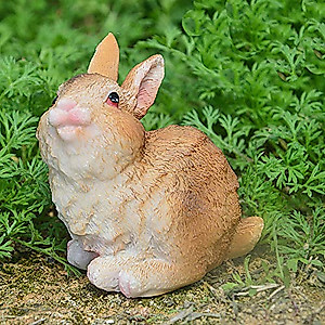 3 Pcs Rabbit Figurines Mini Animals Bunny Miniature Figurines Rabbit Model Fairy Garden Miniature Moss Landscape DIY Terrarium Crafts Ornament Accessories for Home Decoration,B