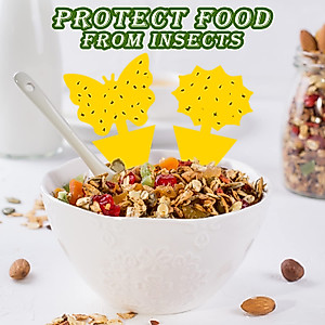 Landisun 24PCS Fruit Fly Traps Yellow Sticky Traps Fungus Gnat Traps Insect Bug Traps for Indoor Outdoor Kitchen Plants Whitefly Mosquitos Fungus Gnats Flying Insects