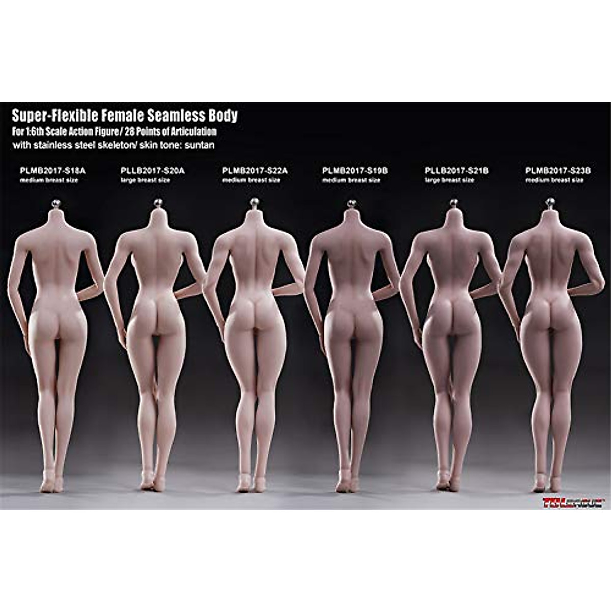 HiPlay TBLeague 1/6 Scale 12 inches Female Super Flexible Seamless Figure Body, Muscular Body Type, Large Bust, Minature Collectible Action Figures (Suntan Skin, S21B (Muscular & Large Bust))