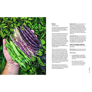 Seed to Table: A Seasonal Guide to Organically Growing, Cooking, and Preserving Food at Home (Kitchen Garden, Urban Gardening)