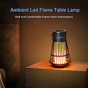 Gifts for Men Him, Outdoor Bluetooth Speaker, Gifts for Him Men who Want Nothing, Wireless Speaker Waterproof with Torch Light BT5.2, Unique Birthday Gifts for Men Women Mom Dad, Flame Lamp for Party