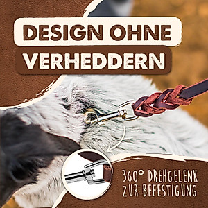 Mighty Paw Braided Leather Dog Leash - Heavy Duty Genuine Pet Lead - Soft Handle - Strong Metal Swivel Clip - Leather Braided Leash for Large Dogs - Dog Leashes Leather - 6’ Standard/Brown