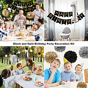 meowtastic Purple Birthday Party Decorations, Happy Birthday Banner with Tissue Pom Poms, Tassel Garland, Paper Lanterns, Circle Dot Garland, Purple and Pink Happy Birthday Decoration for Women Girls