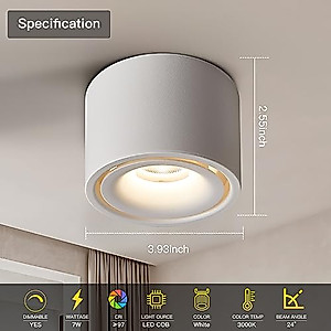 3.9" LED COB Ceiling Spotlight Indoor,7W 3000K Dimmable Warm White Directional Accent Light Fixture,White Aluminum Spot Light for Hallway Corridor Gallery Display Kitchen Living Room and Bedroom