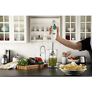 Oster FPSTHB2602 Accentuate Two Speed Hand Blender, 250-watt, Green