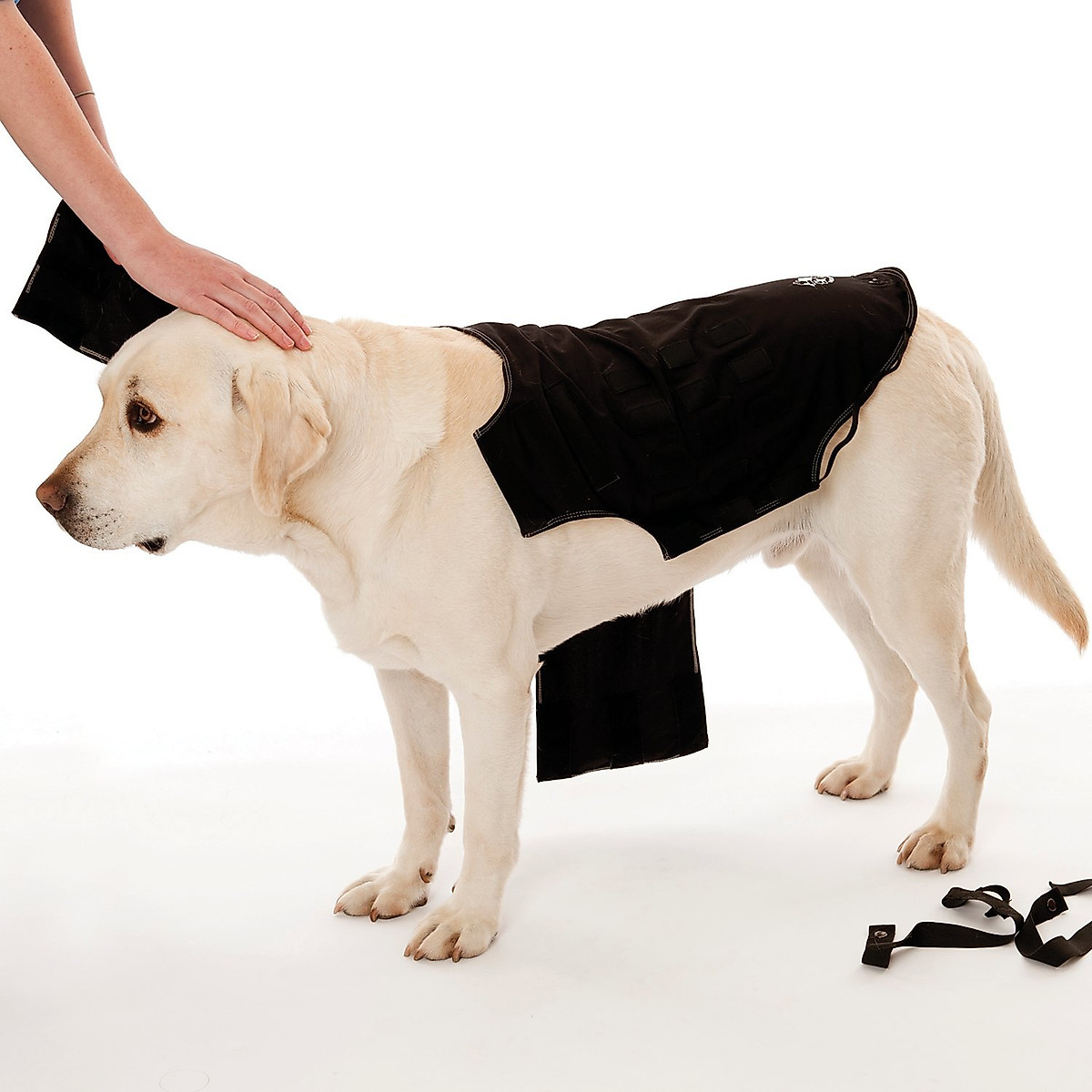 Company of Animals Anxiety Wrap, Black, Toy Sized