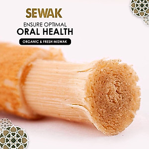 HERBOGANIC Natural Miswak, All Natural Traditional Tooth Brush for Oral Health, Hygiene, Fresh Breath, Light Weight, Vacuum Sealed (Pack of 6)