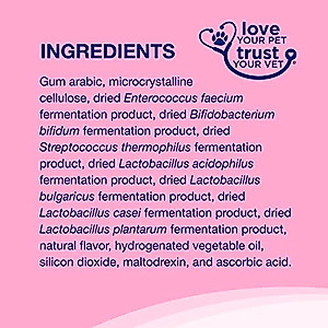 Nutramax Proviable Digestive Health Supplement Multi-Strain Probiotics and Prebiotics for Dogs, With 7-Strains of Bacteria, 60 Chewable Tablets