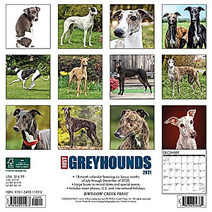 Just Greyhounds 2021 Wall Calendar (Dog Breed Calendar)
