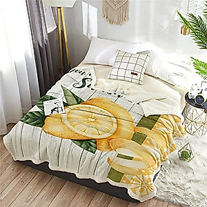 LXXSH Summer Lemon Retro Sherpa Blanket Double Thick Velvet Flannel Bedspreads Office Nap Throw Blanket Sofa Cover Bedding (Color : A, Size : 100X125CM)