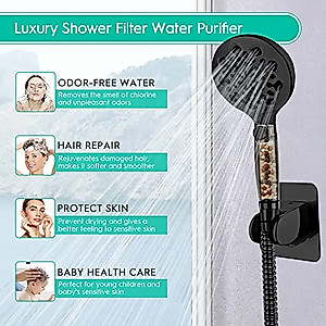 Filtered Shower Head, 10 Inch High Pressure Rainfall Shower Head /Handheld Showerhead Combo with 11 Inch Extension Arm, Anti-leak Shower Head with Hose, Height/Angle Adjustable, Matte Black