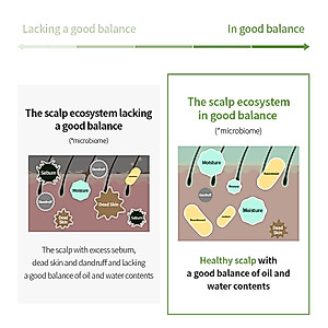 Masil 5 Probiotics Apple Cider Vinegar Shampoo 1Pack(0.3floz X 20ea) Travel Portable Reduces Itchy Scalp Dandruff Frizz Sulfate Free Restores Shine Clarifying Vitamin E Optimal pH level