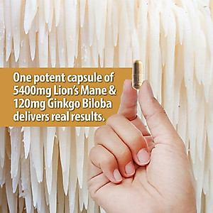 NooMost Organic Lions Mane Supplement Capsules 5400mg, Ginkgo Biloba 120mg – Vegan Lion Mane Mushroom Supplement for Cognitive Function, Mental Clarity, Focus & Memory – 2 Months