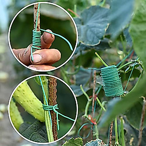 TELENT OUTDOORS 118 Feet Soft Plant Tie Green Twist Garden Ties with 20PCS Garden Plant Clips for Plants Gardening Home Office Organization TPR Garden Ties Supplies with 2mm Diameter